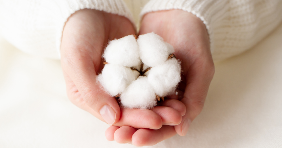 Today Cotton Rate in Pakistan 2025 | Phutti Rate Today